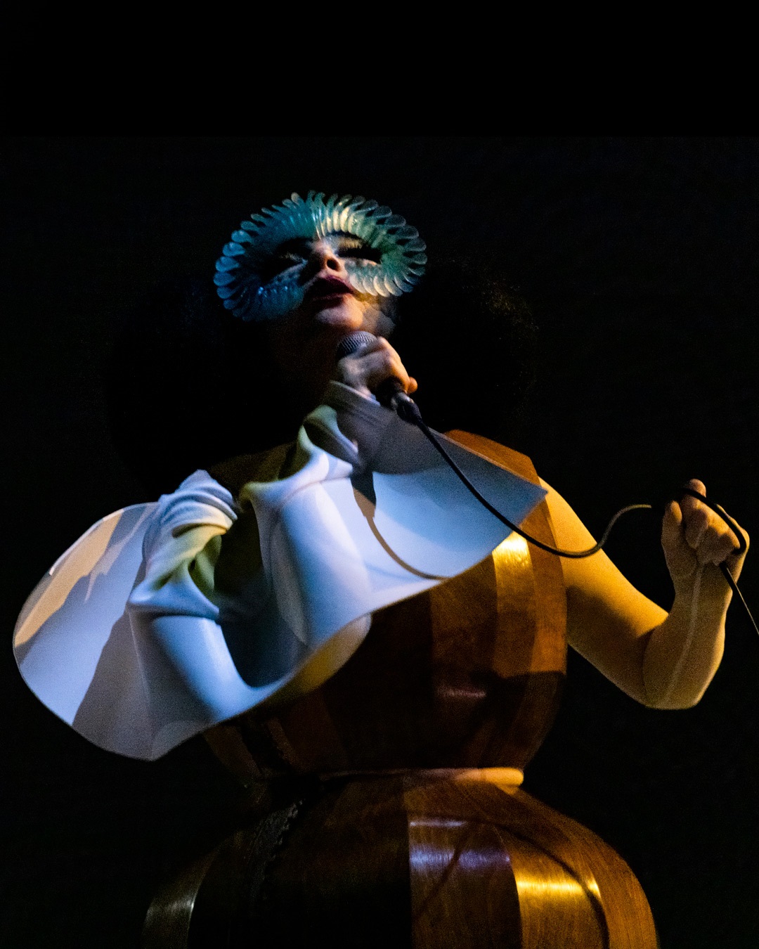 Forum Cinemas - Björk: Cornucopia